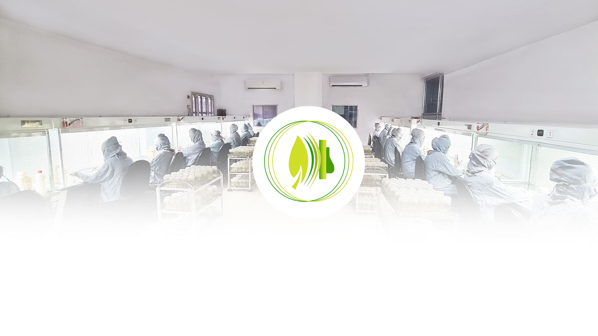 Sarjan Biotect – Most Advanced Plant Tissue Culture Company